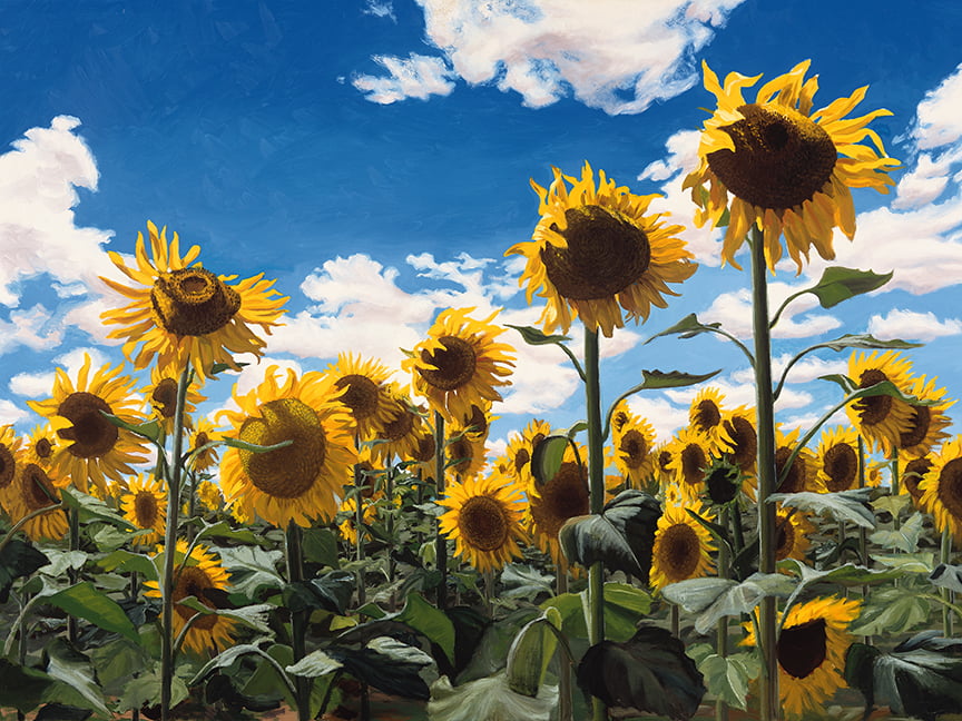 Sunshine Schottische – Laura Lewis Art
